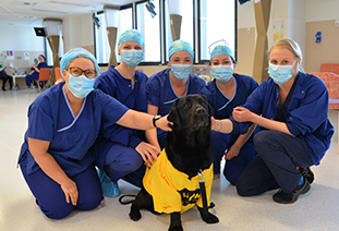 Bendigo Health Website - Cancer Wellness Program