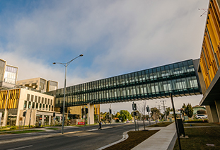 Bendigo Health Website - Patients, Families & Friends