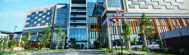 Bendigo Health Website - About Bendigo Health